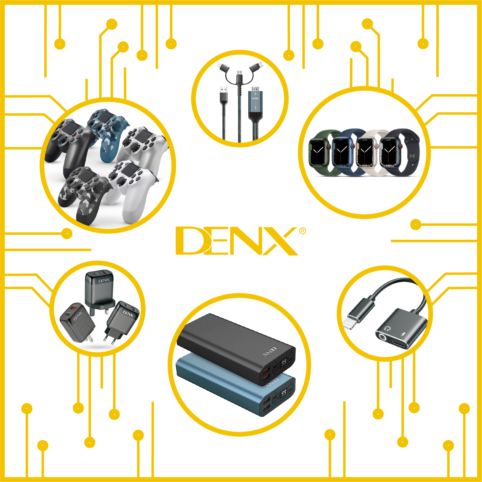 DX2563 - Steam cleaner